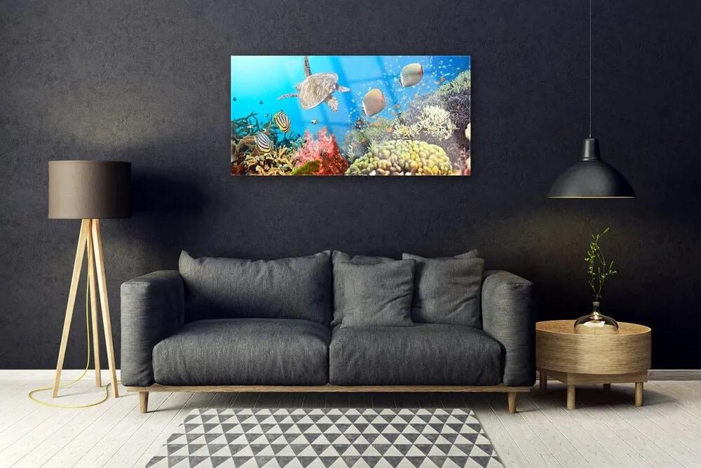 Obraz na skle Korálový Útes Krajina 140x70 cm