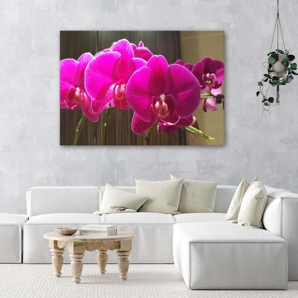 Obraz na plátně Zenová orchidej Růžový květ - 90x60 cm