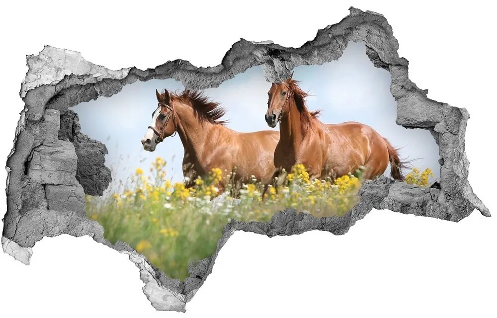 Wallmuralia Díra 3D fototapeta Dva koně ve cvalu 95x73 cm