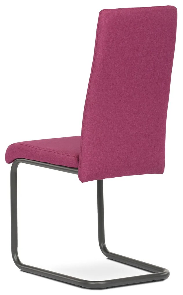 Jídelní židle DCL-400 RED2