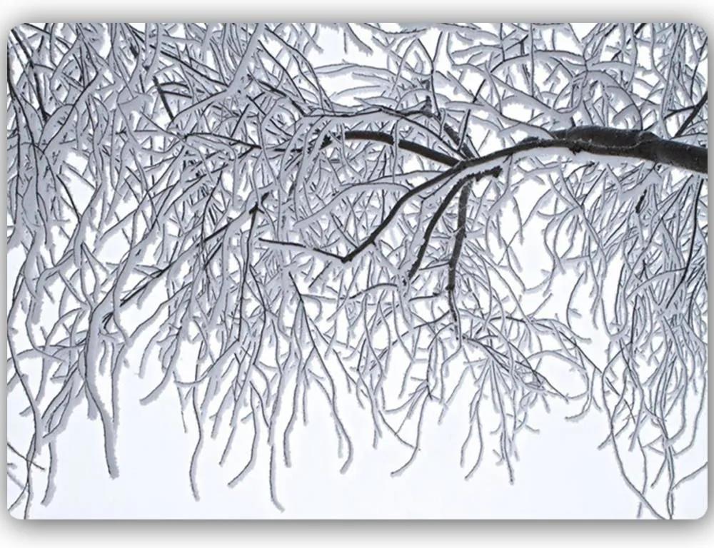 CARO Kovový obraz - Snow-Covered Branches 60x40 cm