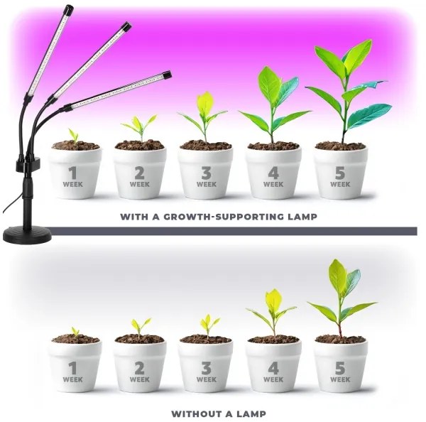 Brilagi - LED Stmívatelná lampa pro pěstování rostlin VITABLOOM 3xLED/10W/230V