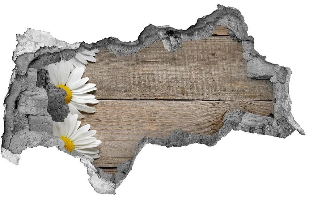 Wallmuralia Samolepící díra nálepka Sedmikrásky dřevo 95x73 cm