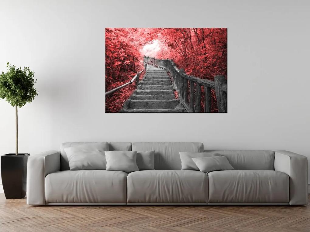 Gario Obraz na plátně Schody v červeném lese Rozměry: 40 x 60 cm