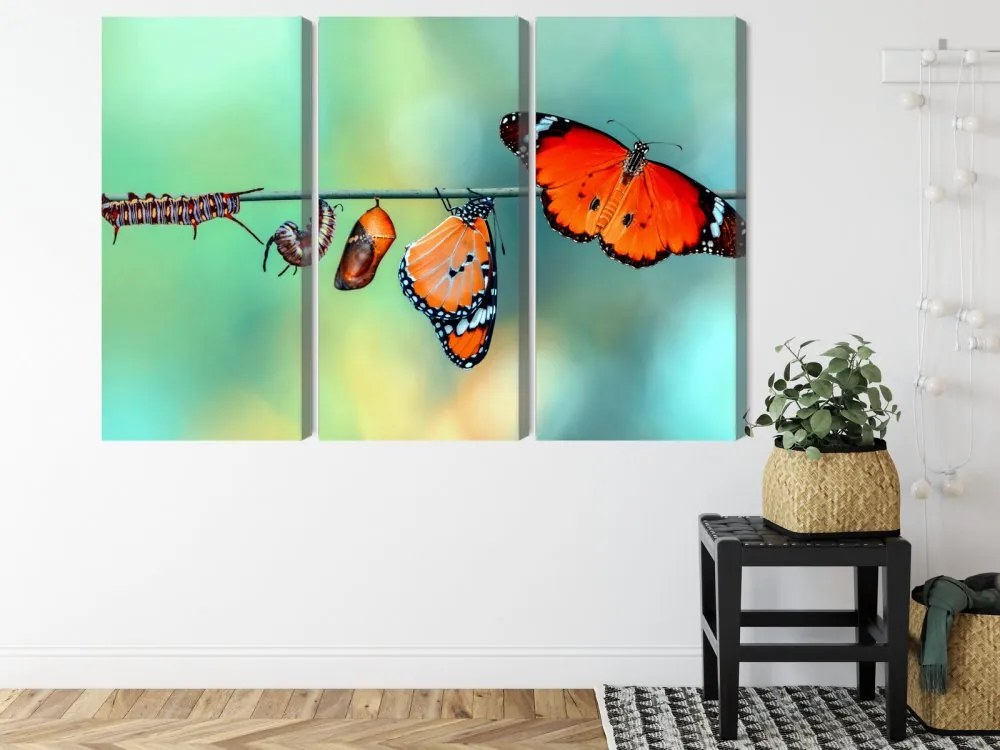 Vícedílný obraz Barevné Housenky A Motýli V Makro Měřítku Nedostatek Nedostatek Přírodní plátno 150x100