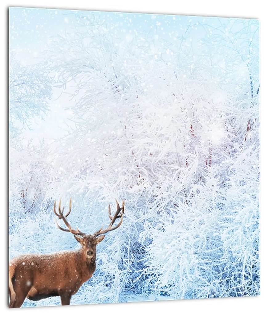 Obraz majestátního jelena (30x30 cm)