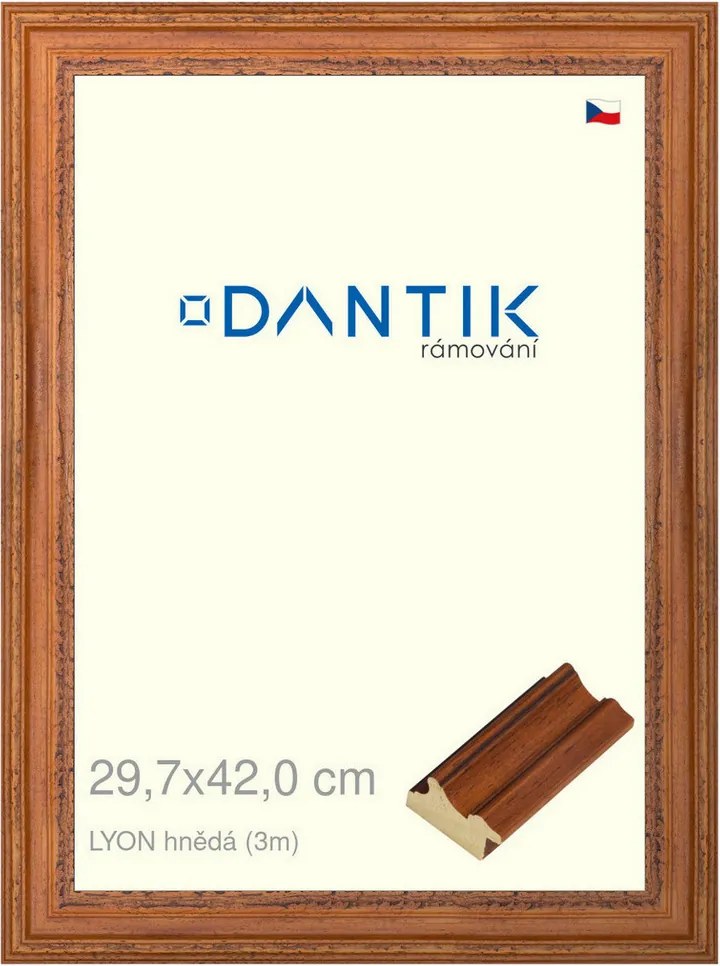 DANTIK rámeček 29,7x42 | LYON hnědá (Plexi Čiré)