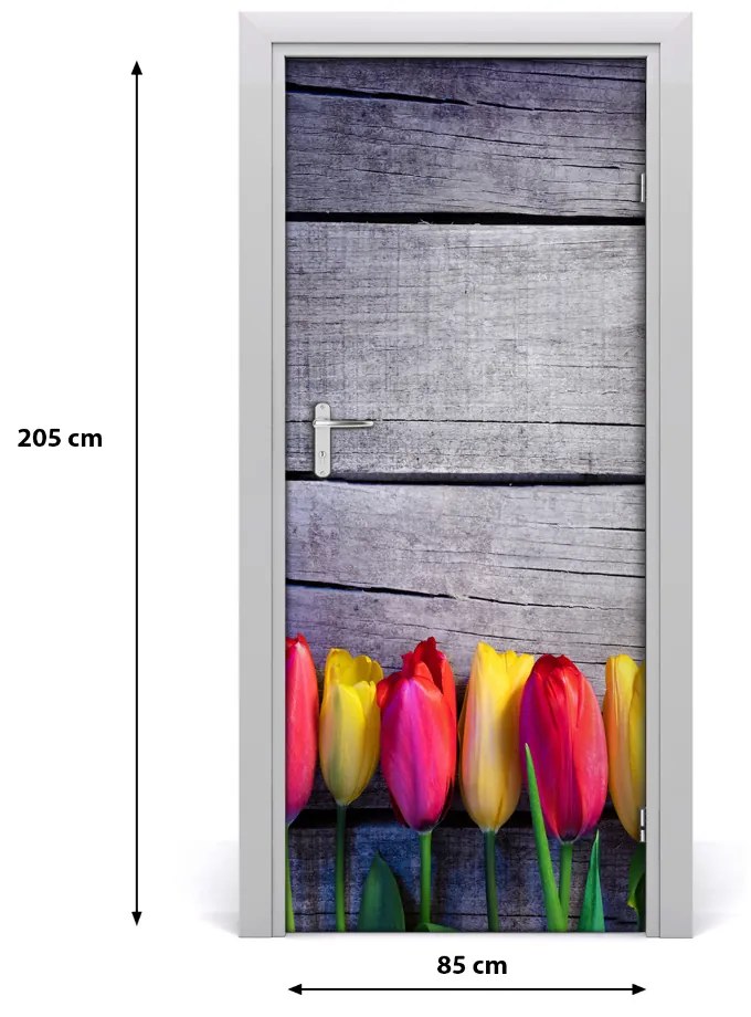 Samolepící fototapeta na dveře barevné tulipány 85x205 cm