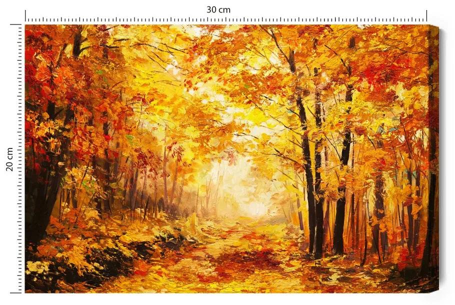 Obraz Les V Barvách Podzimu Nedostatek Nedostatek Plátno Canvas 90x60