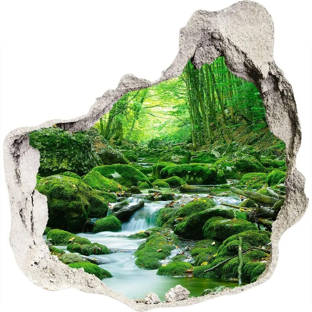 Wallmuralia Nálepka fototapeta 3D výhled Potůček v lese 75x75 cm