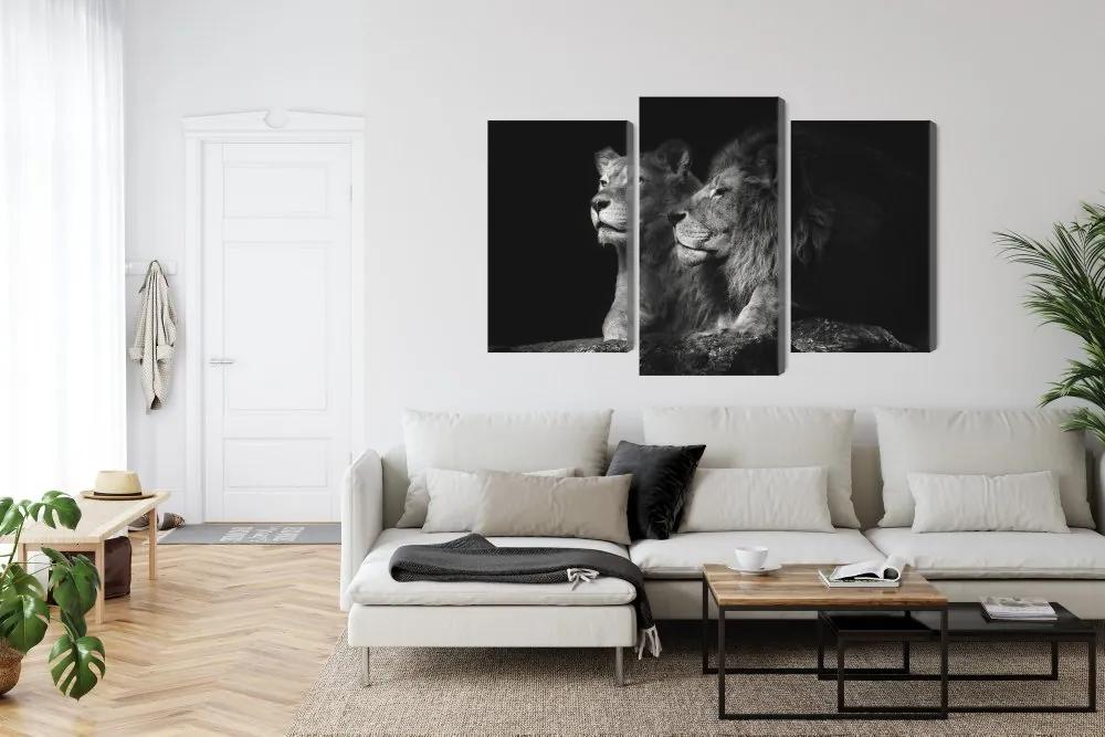 Vícedílný obraz Lev A Lvice Na Černém Pozadí Nedostatek Nedostatek Přírodní plátno 180x120