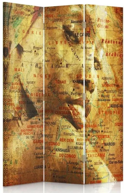 Paraván - A Mysterious Map | trojdílný | jednostranný 110x150 cm