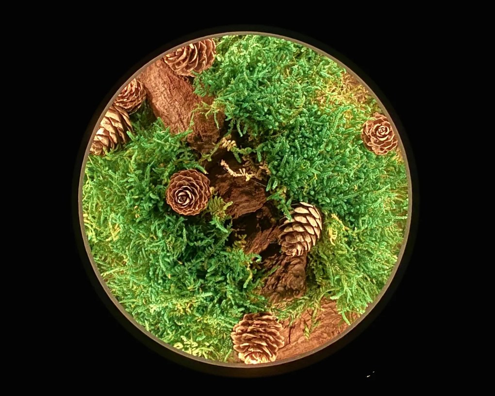 Li-Go "Mechové zátiší" lampa 20x22 cm