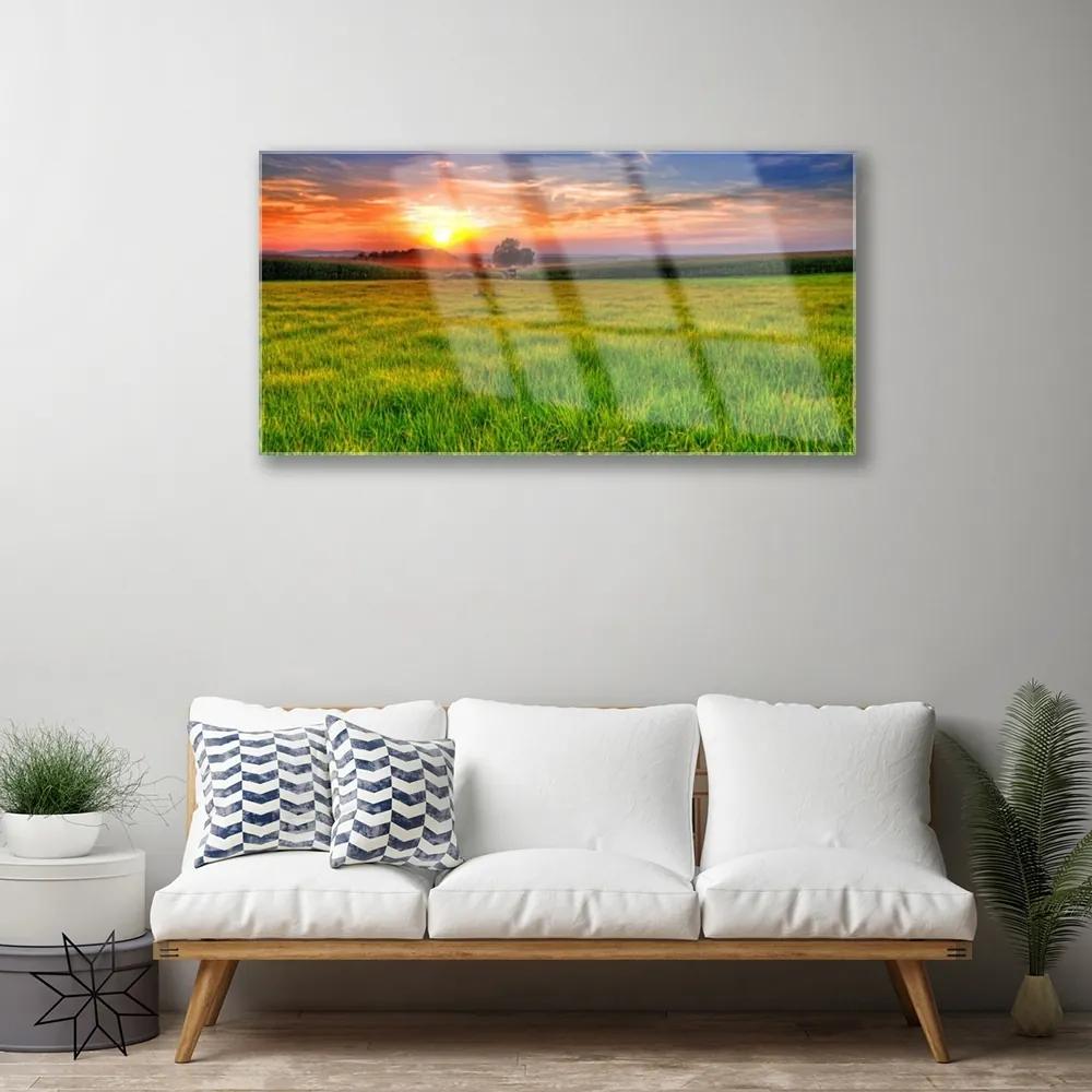 Obraz na skle Louka Slunce Příroda 140x70 cm