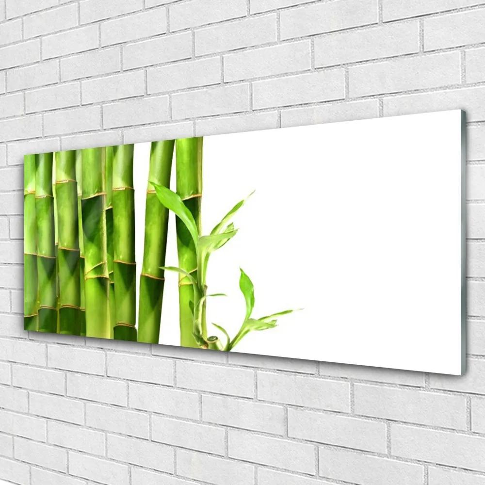 akrylový obraz Bambus Rostlina 125x50 cm