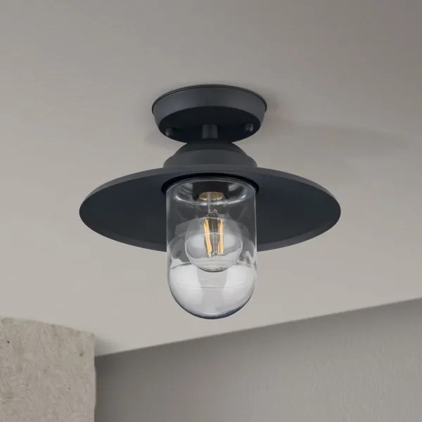 Orion AL 11-1317 - Venkovní přisazený lustr EDWARD 1xE27/60W/230V IP44 antracit