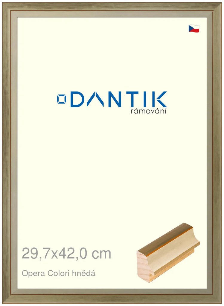 DANTIK rámeček 29,7x42 | OPERA Colori hnědá (Plexi Čiré)