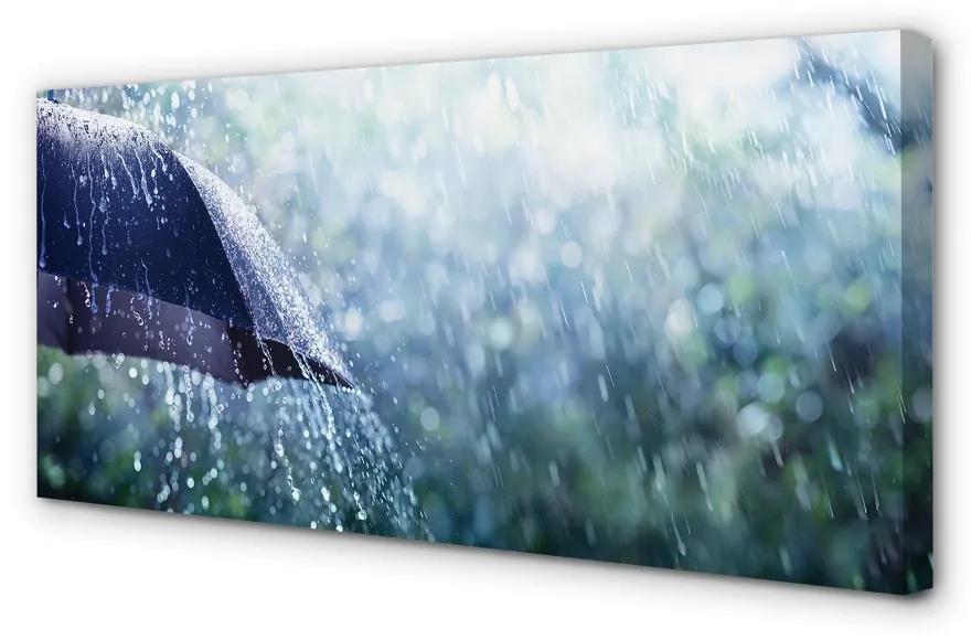 Obrazy na plátně Umbrella dešťové kapky 140x70 cm