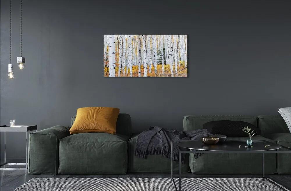 Obraz na skle podzimu bříza 125x50 cm