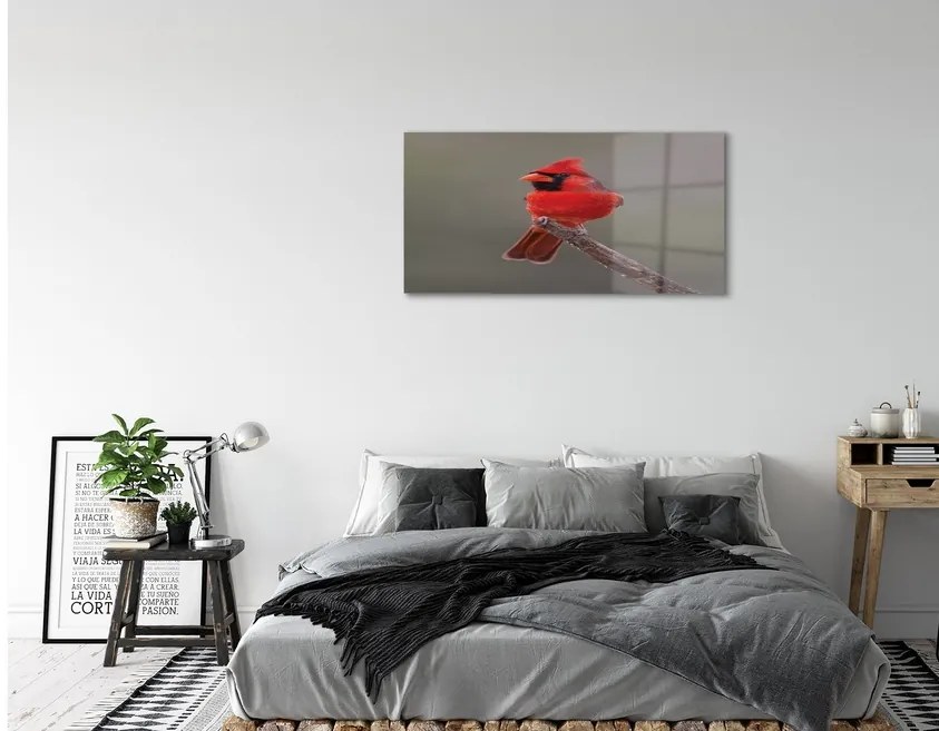 Obraz na skle Red papoušek na větvi 100x50 cm
