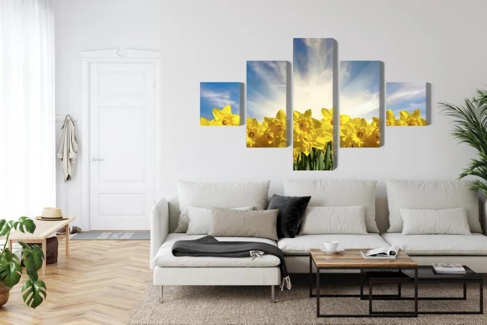 Vícedílný obraz 3D Pole Narcisů Nedostatek Nedostatek Plátno Canvas 200x120