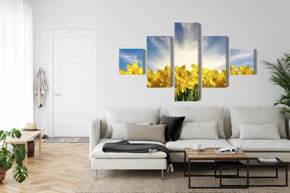 Vícedílný obraz 3D Pole Narcisů Nedostatek Nedostatek Plátno Canvas 250x150
