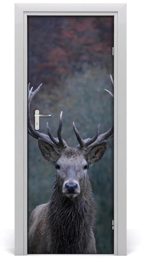 Fototapeta samolepící na dveře jelen příroda 95x205 cm