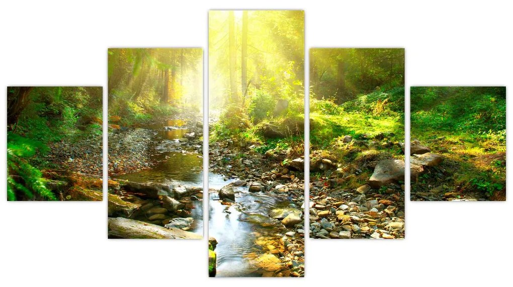 Obraz řeky v zeleném lese (125x70 cm)