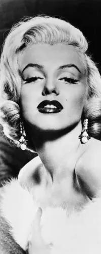 Marilyn Monroe (20 x 50) - 20 x 50 cm