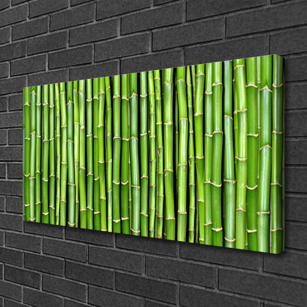 Obraz na plátně Bambus Květ Rostlina 125x50 cm