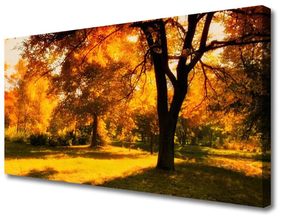 Obraz na plátně Stromy Podzim Příroda 100x50 cm