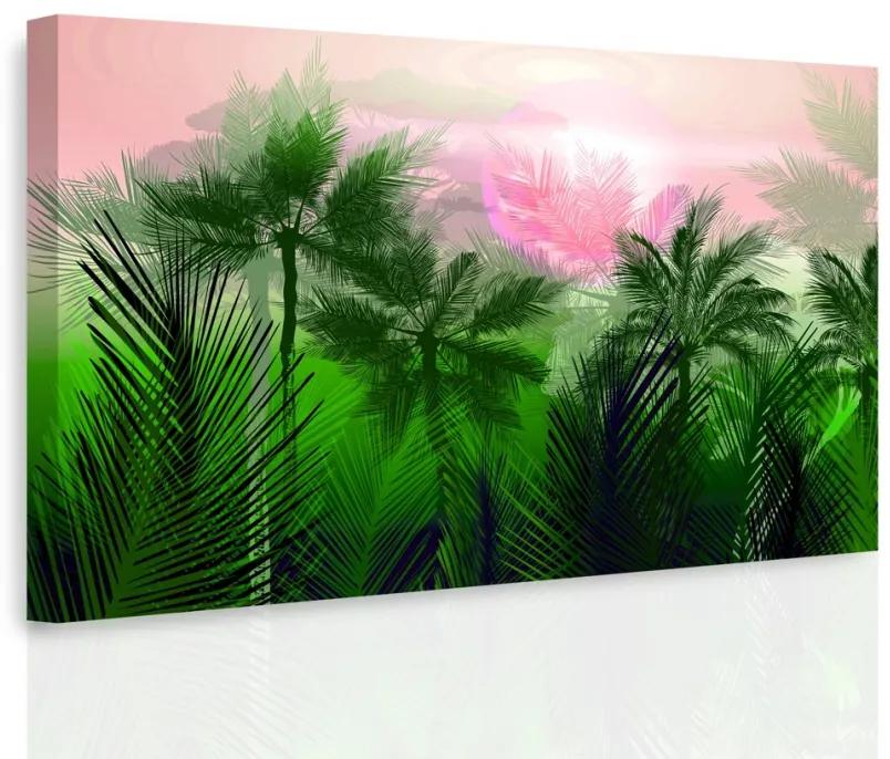 Malvis ® Obraz - Tajemná jungle III. Velikost: 150x100 cm