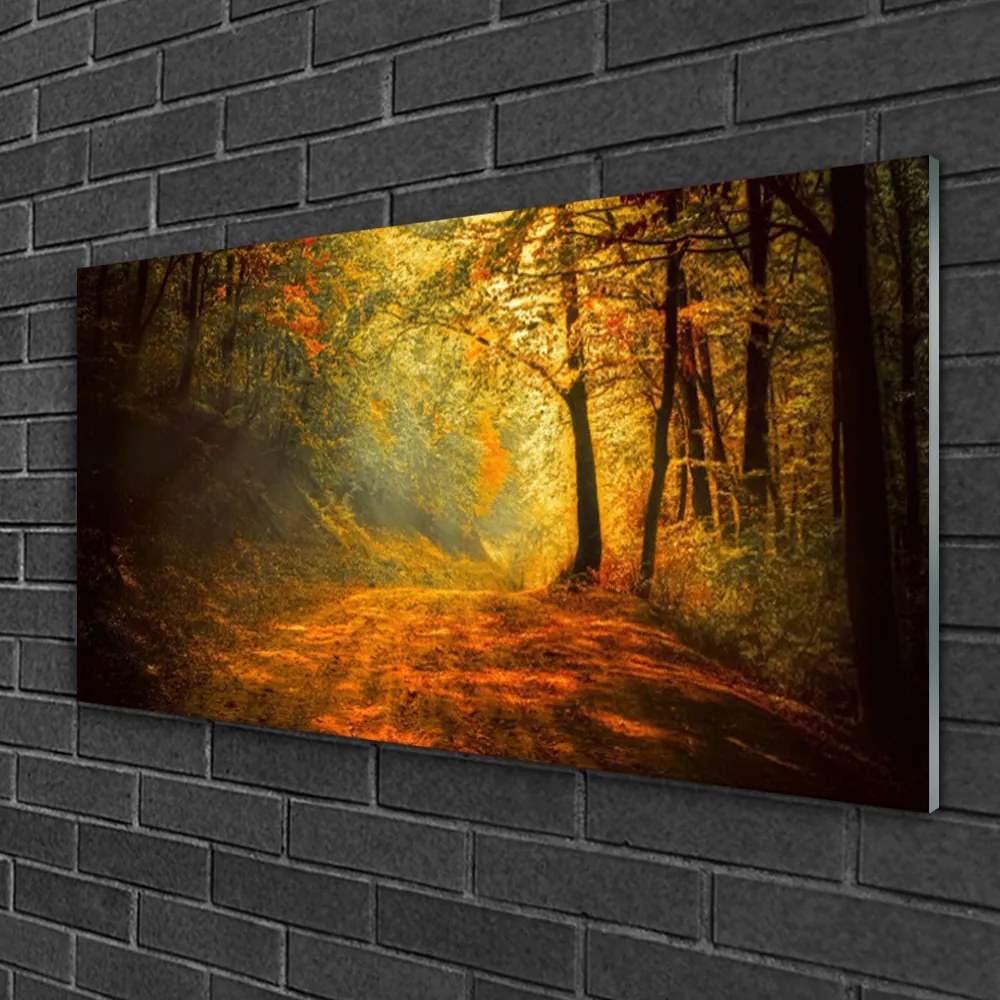 Obraz na skle Les Cestička Stromy Příroda 100x50 cm