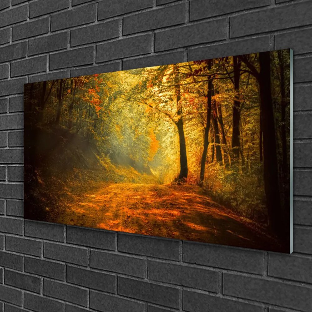 Obraz na skle Les Cestička Stromy Příroda 140x70 cm