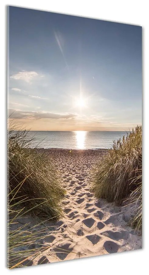 Wallmuralia Foto obraz skleněný svislý Mořské duny 70x140 cm