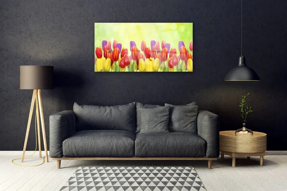 Obraz na skle Tulipány Květiny Rostlina 100x50 cm