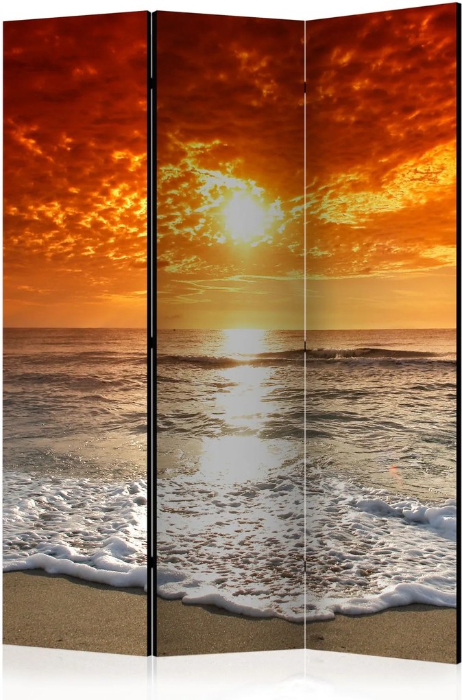 Paraván - Marvelous sunset [Room Dividers] 135x172