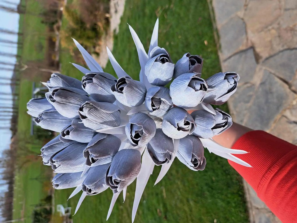 Tulipán - 1 ks - šedobílý