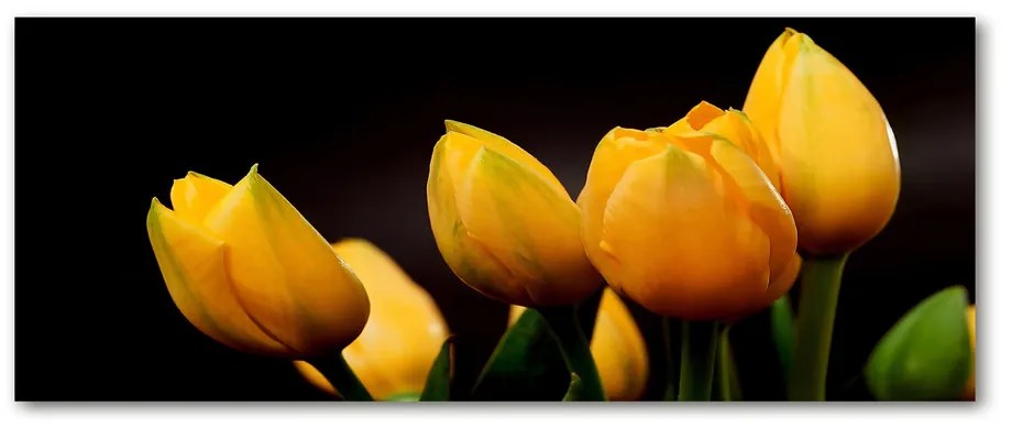 Wallmuralia Foto obraz akrylový do obýváku Žluté tulipány 125x50 cm