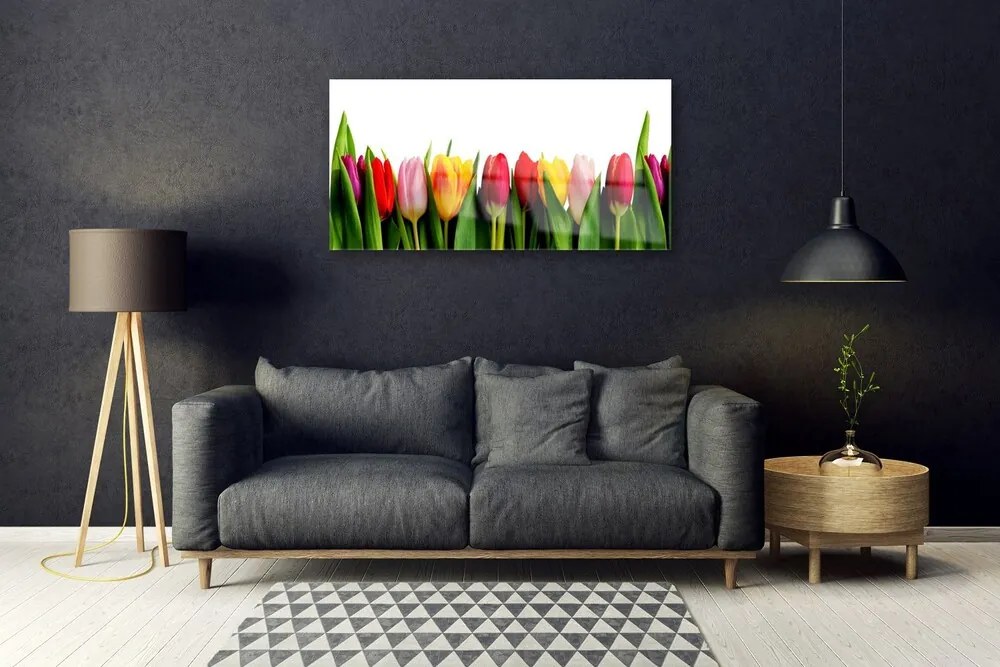 Obraz na skle Tulipány Rostlina 100x50 cm