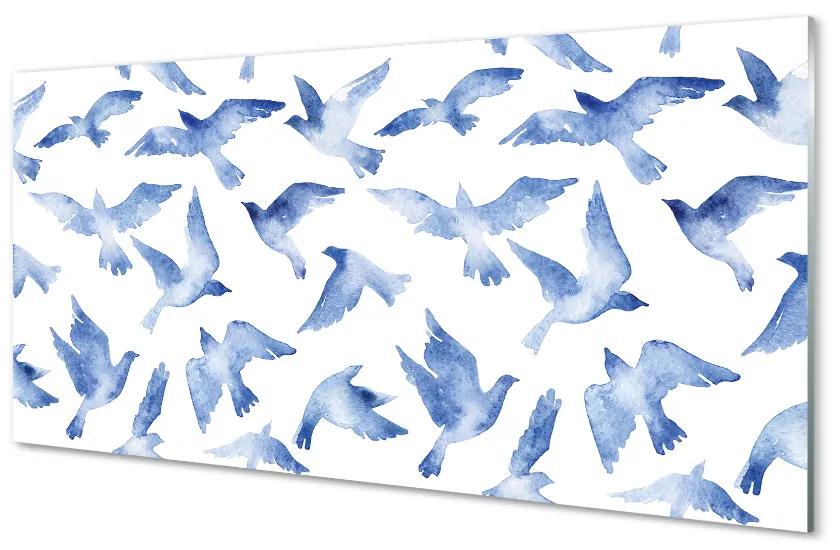 akrylový obraz malované ptáci 100x50 cm