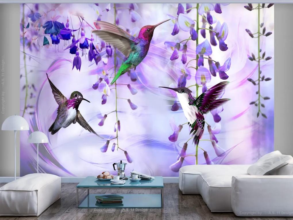 Tapeta létající kolibříci - fialová (350x256 cm) - Murando DeLuxe