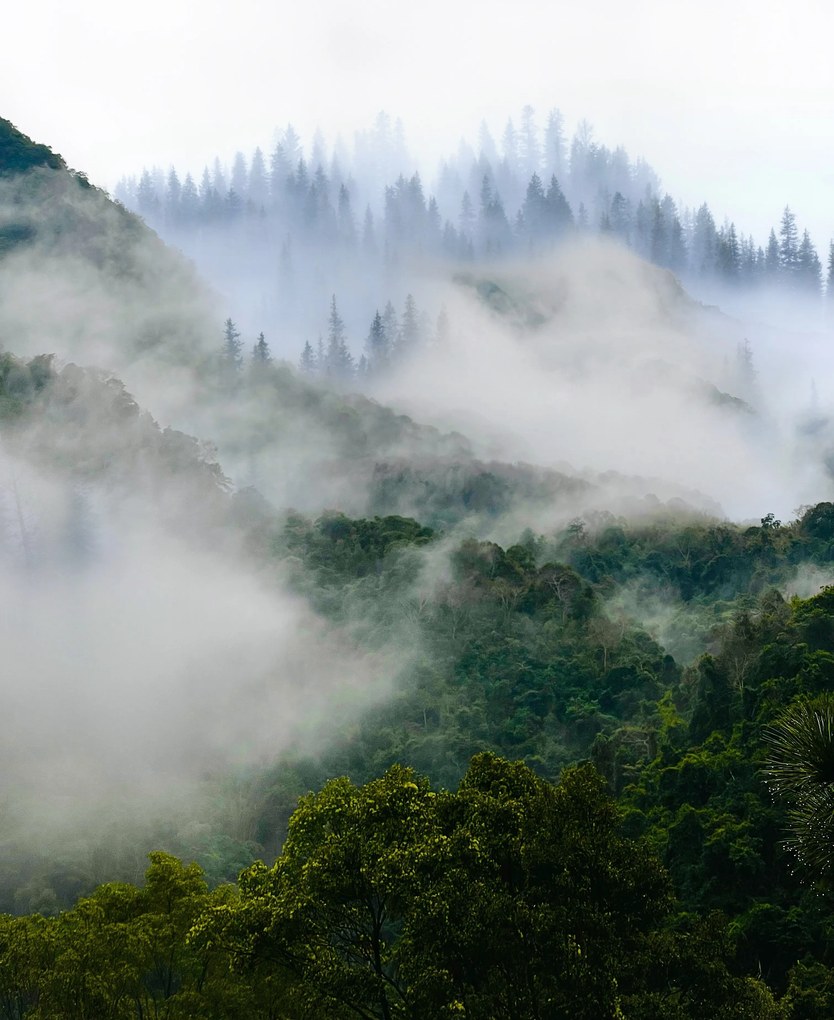 Bondecor Obraz na plátně "Hory v mlze" 60x80cm