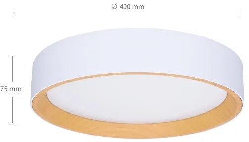 Brilagi -LED Stmívatelné svítidlo LARIOS LED/60W/230V 3000-6500K pr. 49 cm bílá+DO