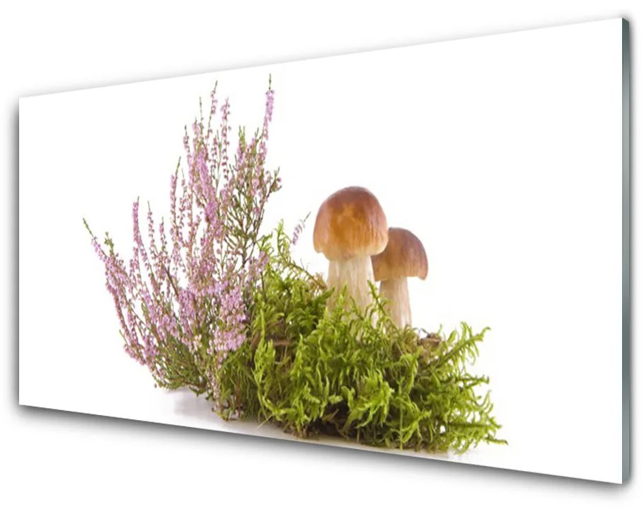 akrylový obraz Houby Rostlina Příroda 100x50 cm