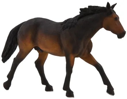 Mojo Quarter horse hnědák