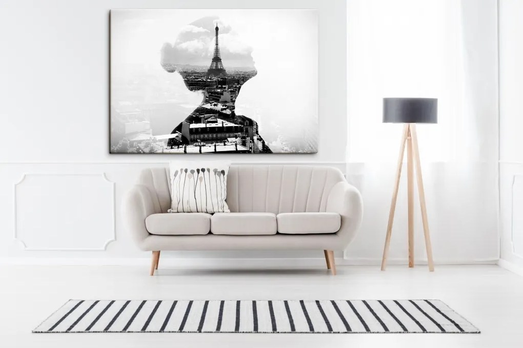 Obraz silueta v Paříži Velikost (šířka x výška): 90x60 cm