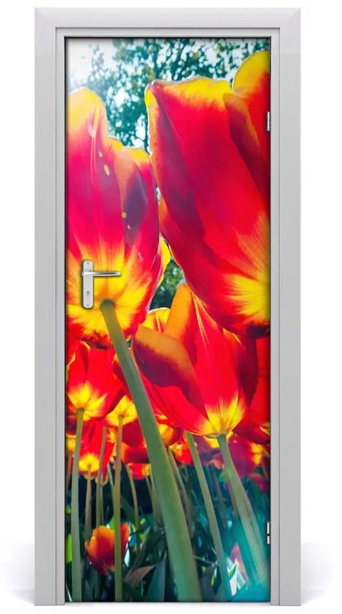 Fototapeta na dveře Tulipány 85x205 cm