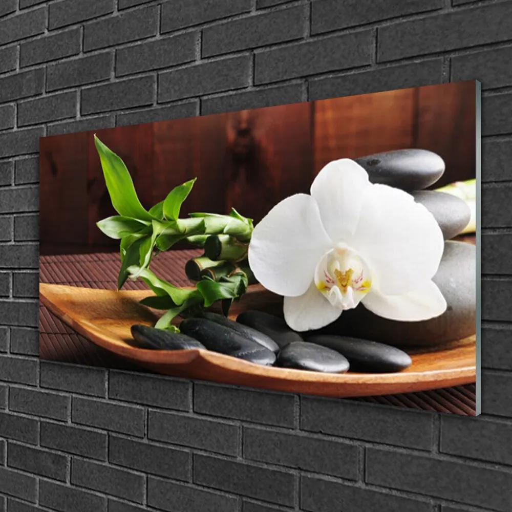 Obraz na skle Kameny Zen Bílá Orchidej 125x50 cm