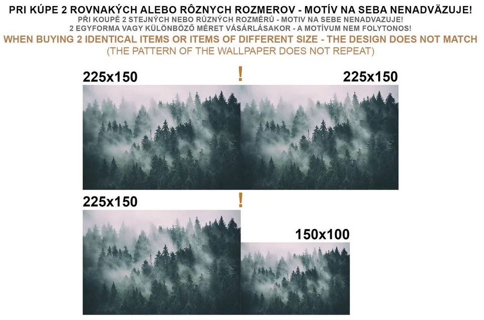 Fototapeta stromy pokryté mechem